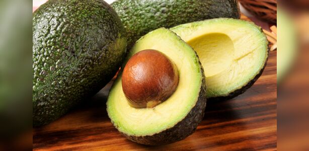 Produção de abacate cresce e fortalece a fruticultura capixaba